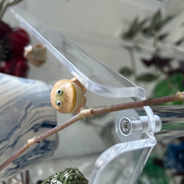 Handmade Polymer Clay Angry Screaming Black Desert Rain Frogs Figurine ...