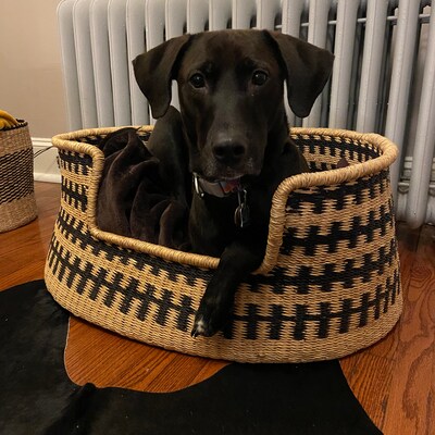 Woven Dog Bed Basket Small to XXL Dog Bed Elegance, Decorative Bed for ...