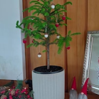 Acorn Gnome Ornaments, Holiday Decor, Grumpy Christmas Tree Ornaments ...