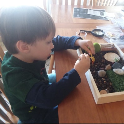 Garden Bugs Sensory Science Bin/ Bug Discovery Box/ Montessori Learning ...