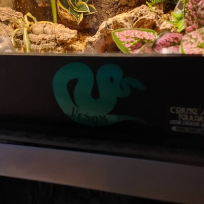 Customizable Name Ball Python Snake Vinyl Decal READ DESCRIPTION - Etsy