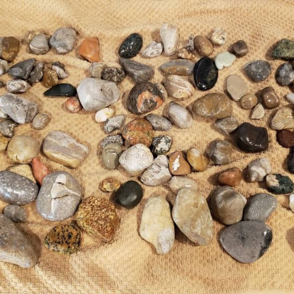 Resin Flower Encapsulation/ Wedding Bouquet Tray/ Resin Flowers ...