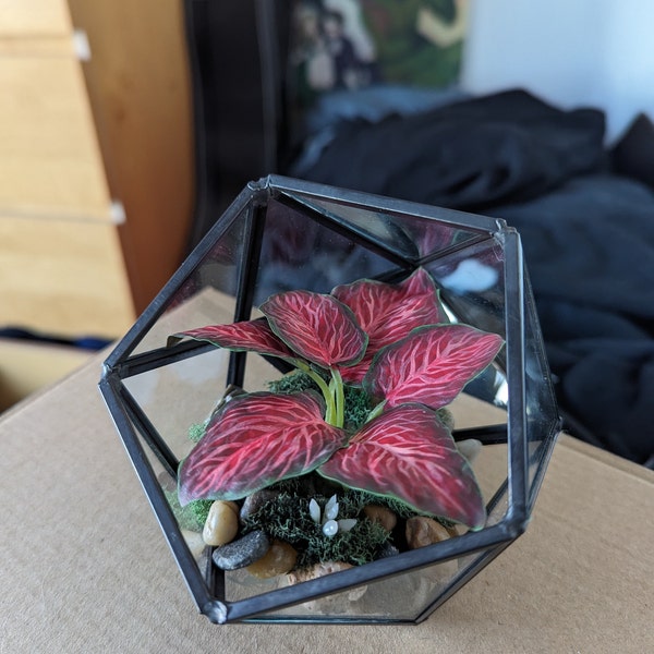 Majora's Mask Legend of Zelda Mini Terrarium - Etsy