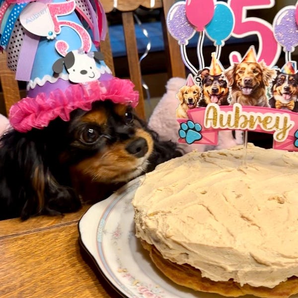 School Years Digital Infographic Download | Memory Bin Kit | DIY Memory ...