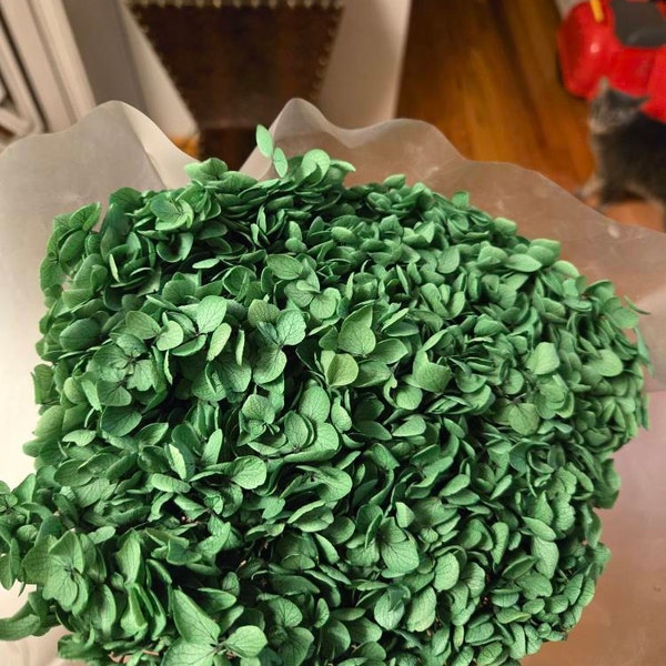 Orange Preserved German Statice, Limonium Dried Flower, Crystal Flowers ...