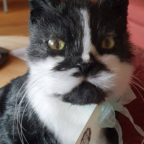 Realistic Spaniel Puppy Custom Dog Plush, Lifelike Puppy Replica Plush ...