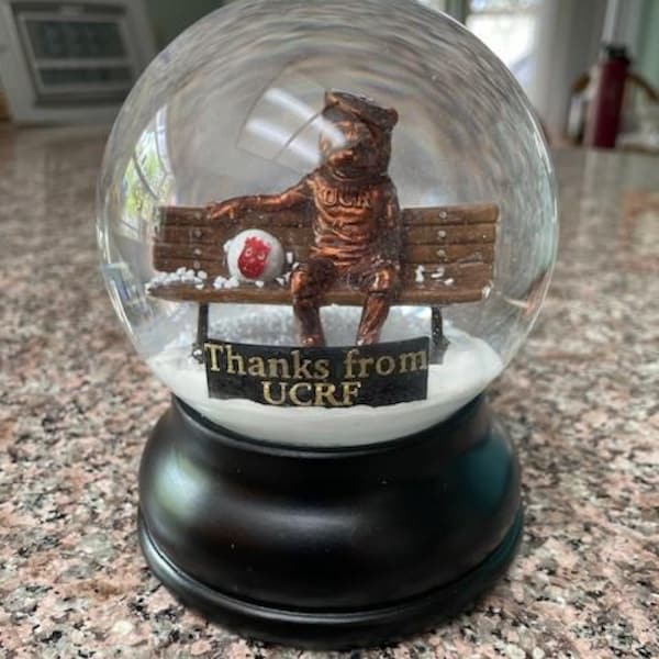 Snow Globe- Custom Snow Globe, Your Home in Globe, Christmas Gift ...