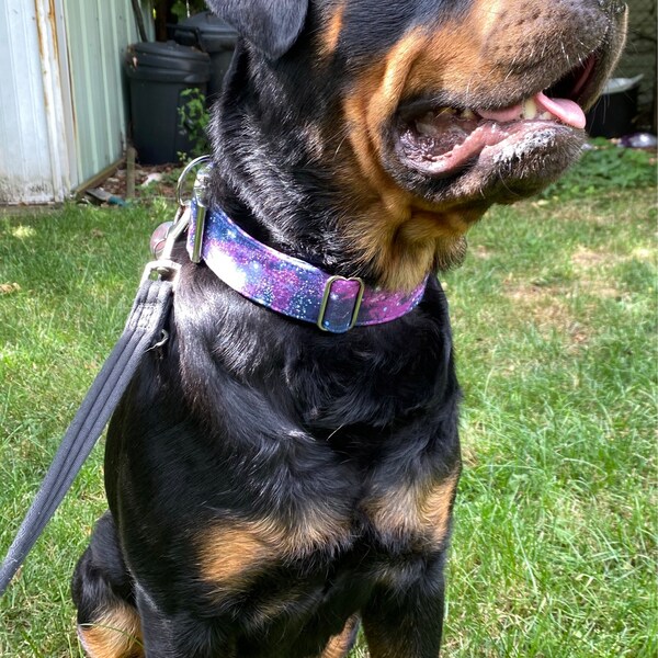 Autumn Fern Dog Bandana Reversible Snap on Dog Bandana, Handmade in ...