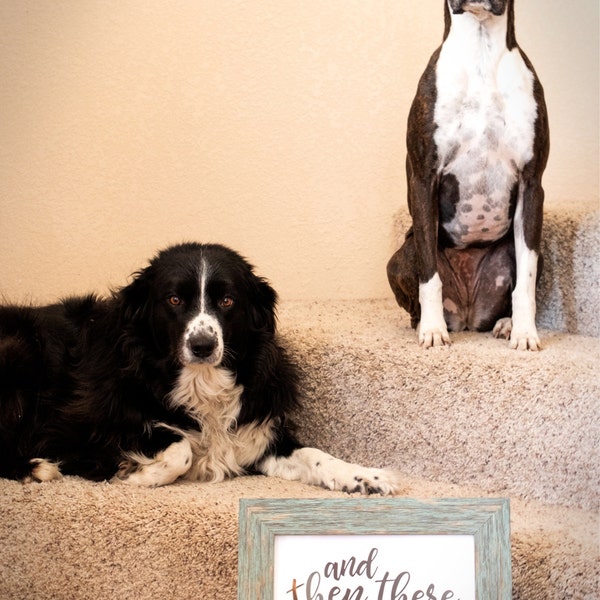 Name Tracing Editable Printable | Kindergarten Name Writing Practice ...