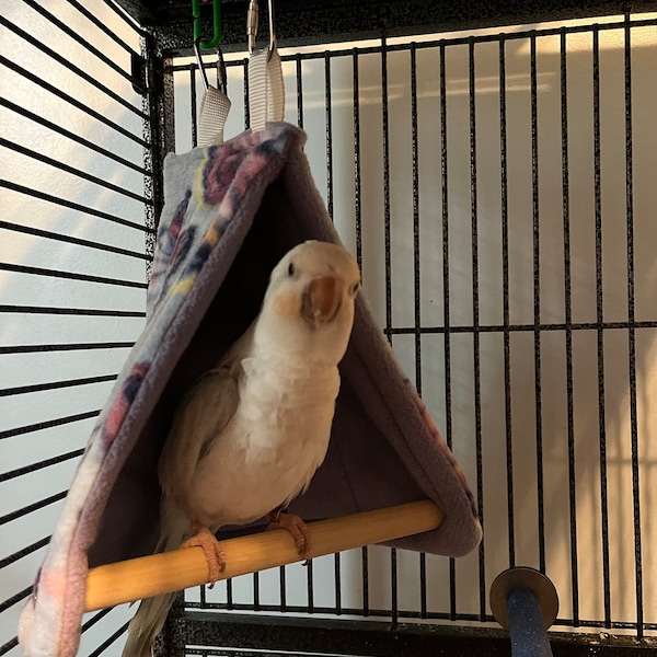 Bird Teepee, Bird Tent, Bird Bed for Conures, Caiques, Senegals ...