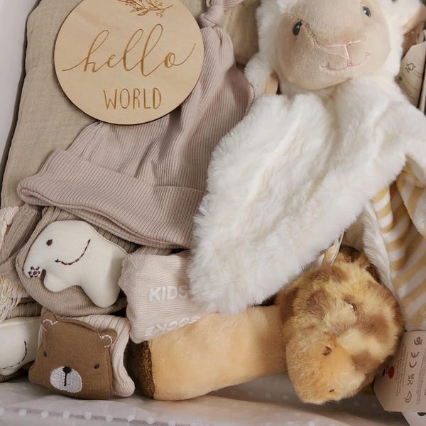 Welcome to the World, New Baby Gift, Baby Boy, Baby Girl Gift, Newborn ...