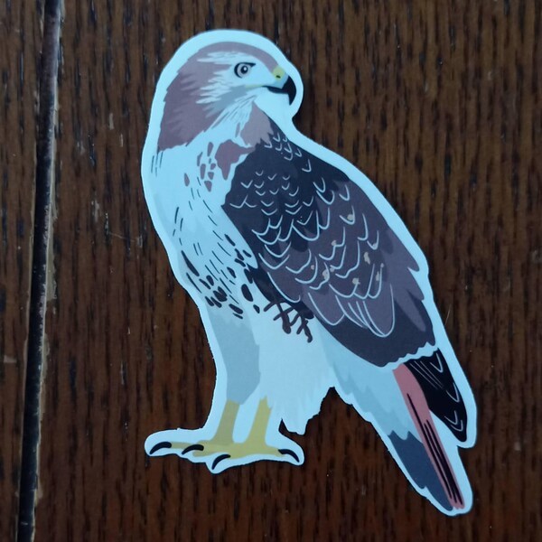 Red Tailed Hawk Sticker, Bird Sticker, Birdwatching Sticker, Birding ...