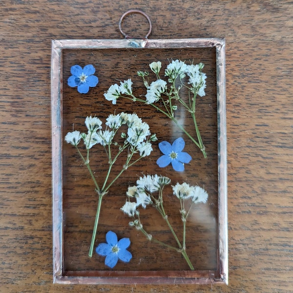 Forget Me Not Pressed Flower Frame, Condolence Gift,birthday Present ...