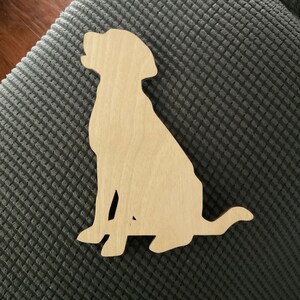 Scentbox Scentbird Perfume and Cologne Case Holder - Etsy