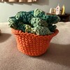 CROCHET PATTERN Succulent Plant Pot Coaster Crochet Pattern Flower Leaf ...