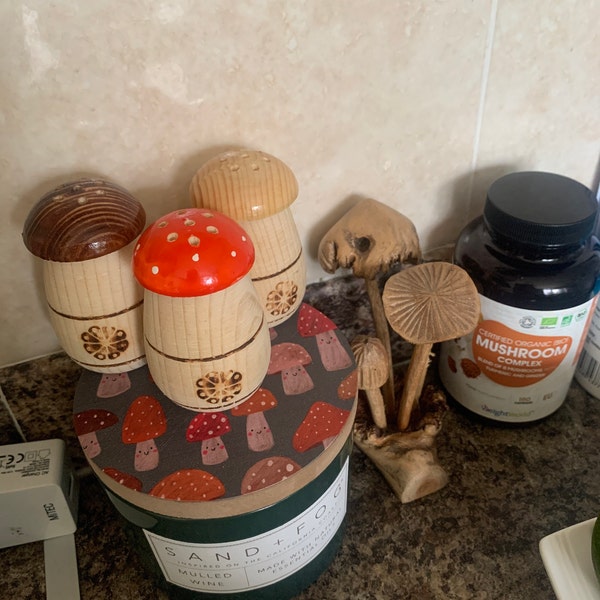 Door Knocking Woodpecker Fun Door Knocker - Etsy