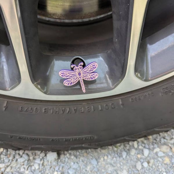 Fighter Jet Airplane Shaped Black Valve Steam Caps. Suit up Your Tires ...
