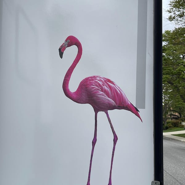 Pink Flamingo Decal, Fabric Repositionable Tropical Flamingo Wall ...