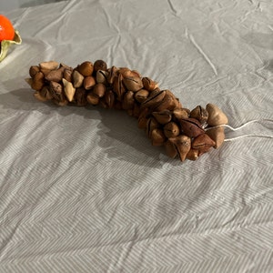 Gourd Rattle Native Ayacaxtli Mexica - Etsy