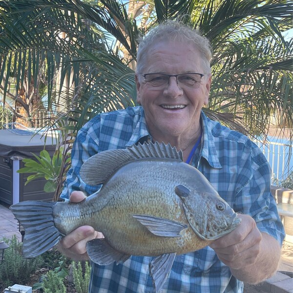 Halibut, 21-25 Inches 3D Wall Wooden Fish, One Side Hand Carved and ...