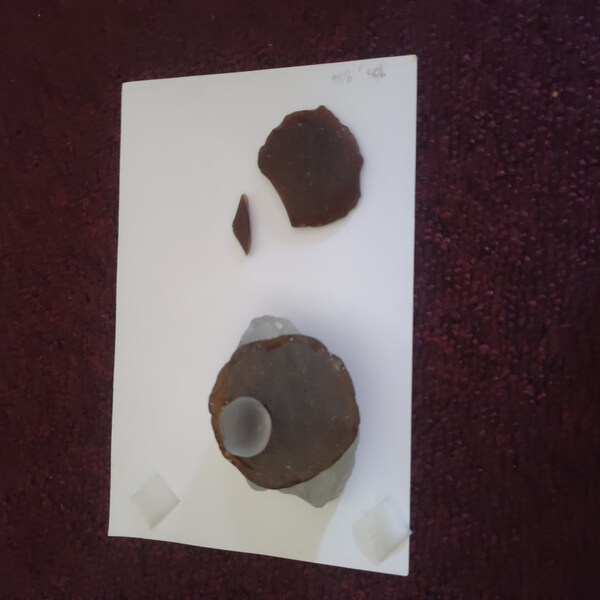 Ladle Gourd Sconce With Pine Needles - Etsy