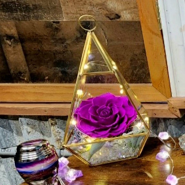Wholesale XL Roseamor Ecuadorian Preserved Roses, High Quality PACK OF ...