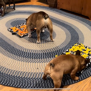 Rainbow Snuffle Rope Dog Toy - Etsy