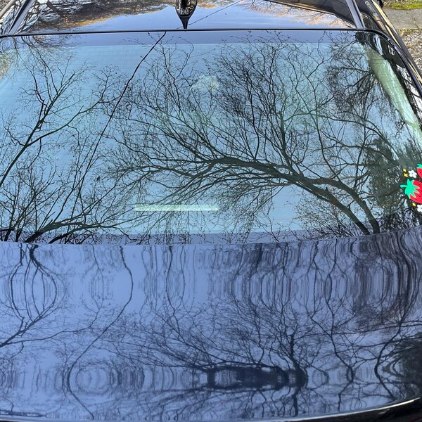 Retro Daisy Decal Set | Daisy Decal | Daisy Car Decal | Cute Car Decal ...