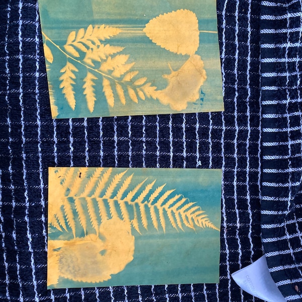 Sun Print Paper, Cyanotype Fern Template - Etsy
