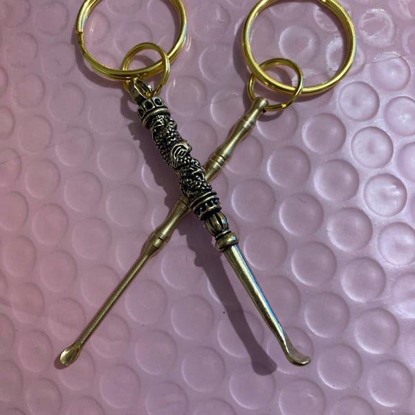 Reusable Metal Toothpick and Ear Spoon With Case two-in-one, Keychain ...