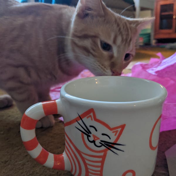 Cat Bum Mug - MADE TO ORDER - the Perfect Cosy Mug for Cat Lovers ...