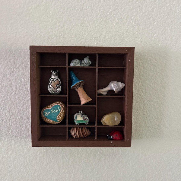 Wooden Curiosity Cabinet Printer Tray Letterbox Display, Rock Display ...