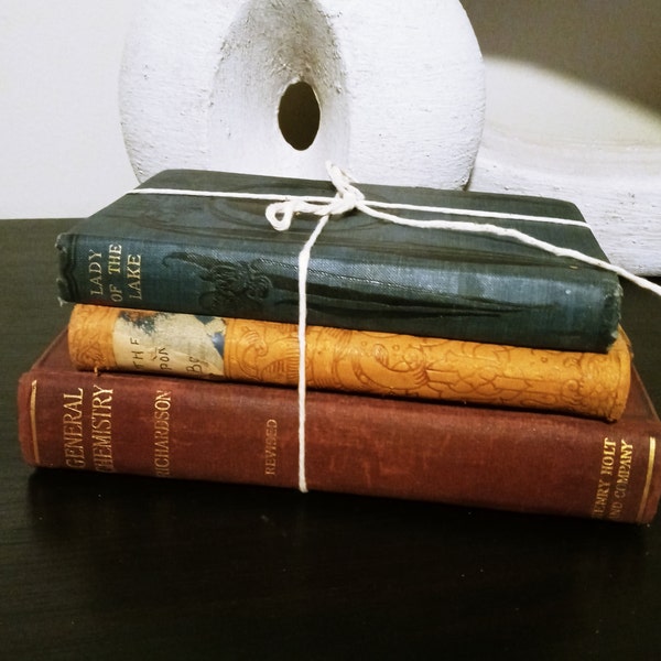 Children's Book of the Month, Gift Idea, Mystery Book, Surprise Present ...