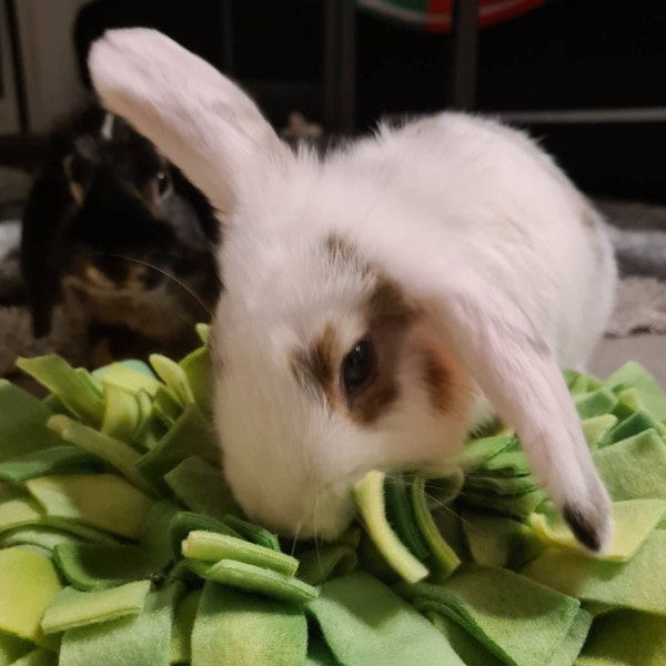 Bunny Rabbit Snuffle Mat: Foraging Enrichment Toy - Etsy