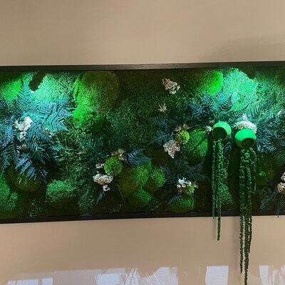 Beautiful Preserved Moss Artwork With LED Lights Live Moss LED Wall Art ...