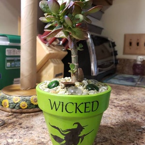 Robin Clay Pot-6 Inch Robin Flower Pot Robins Robin Decor - Etsy