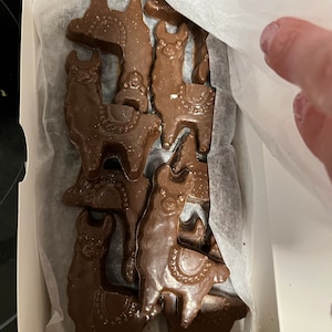 Mini Chocolate Ears Audiology Chocolates 1 Pound Bulk Box - Etsy