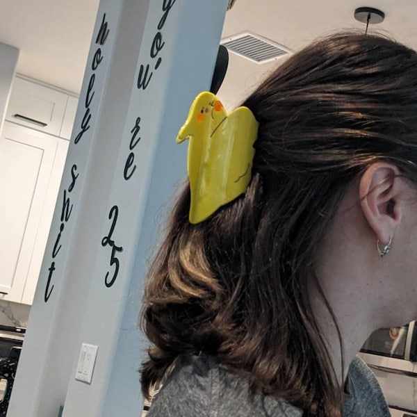 Acrylic Bird Hair Clips | Epoxy Acrylic Hair Clip | Gift for Bird ...