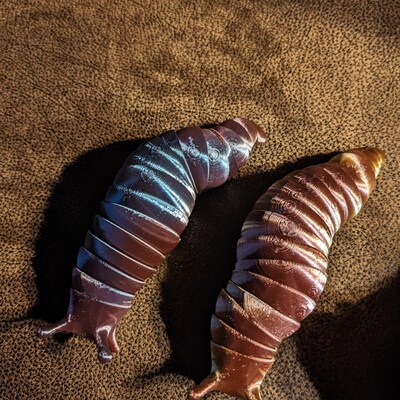 3D Printed Articulated Fidget Slug Rainbow Color Available Multiple ...