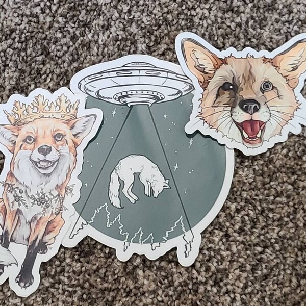 Button Eyed Fig the Fox Weather Proof Sticker - Etsy