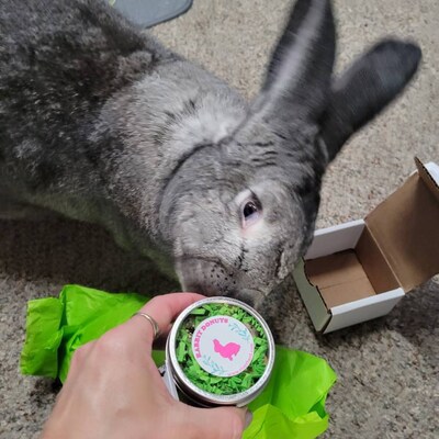 24 donut Rabbit Treats With Organic Fruit & Veggie Glaze 8 Flavors ...
