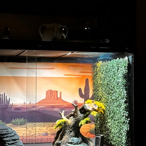 Custom Aquarium / Terrarium Background / Send Us Any Image or Use Our ...