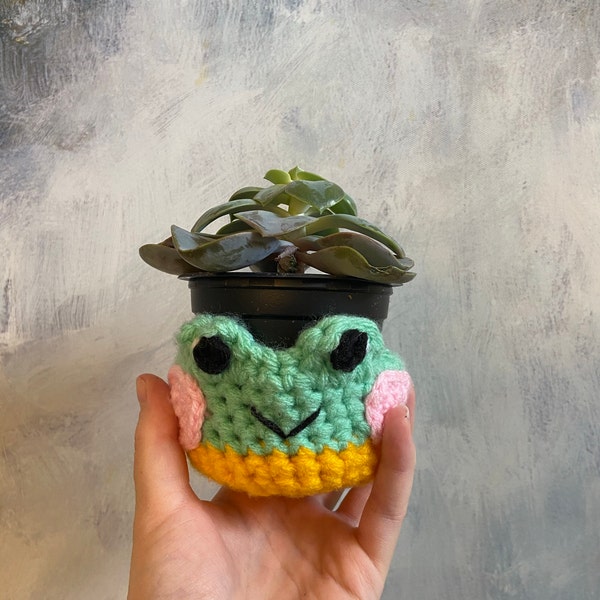 Froggy Mini Planter Crochet Pattern, Crochet Planter, Frog Planter - Etsy