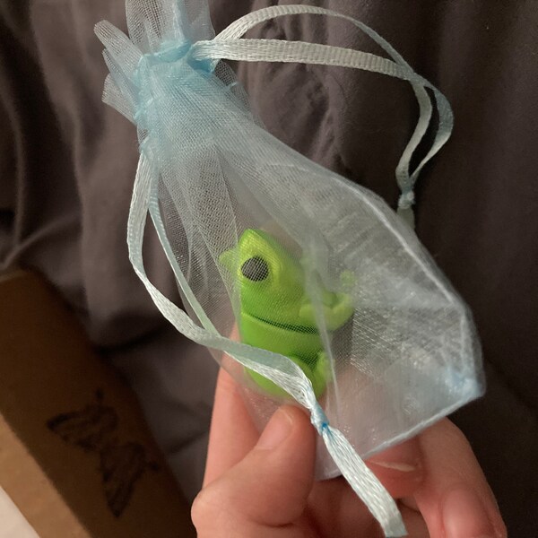 Fidget Frog Fidget Toy, Articulated Sensory Toy, Tiny Frogs, Flexible Frog, Desk Fidget Toy ...