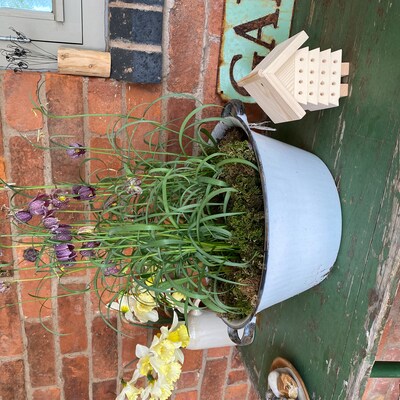 Solitary Bee Hive With Hinged Roof, Perspex Viewing Window and ...