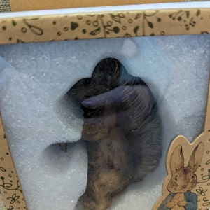 Peter Rabbit Pot Buddy Pot Hanger Beatrix Potter Gift | Etsy