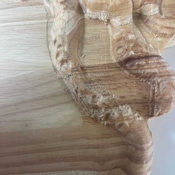 Alligator Charcuterie Board, Custom Board With Center Line Gator ...