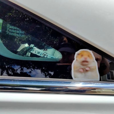 Surprised Shock Hamster Meme Funny Car Bumper Sticker Interior or ...