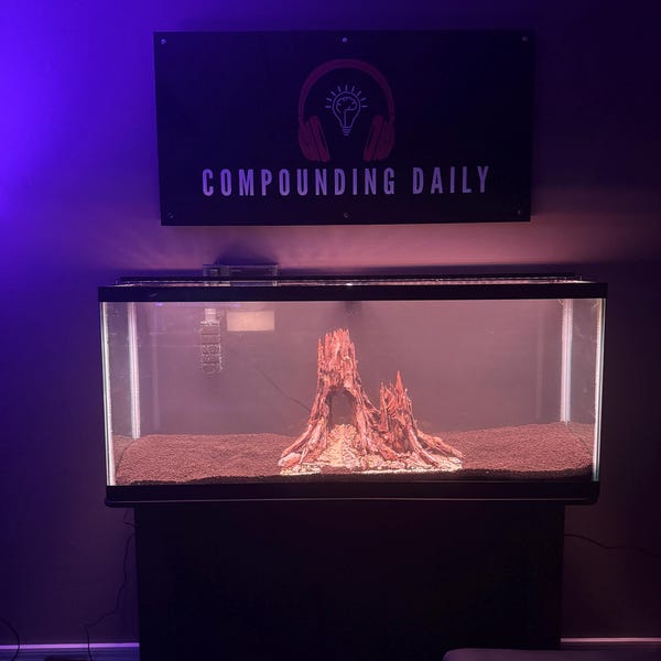 Aquarium Driftwood Centerpiece Aquascape Hardscape Arch Fish Tank ...