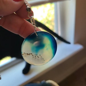 Knobs Stone Knobs Cabinet Knobs White Glass Sand Dollar - Etsy